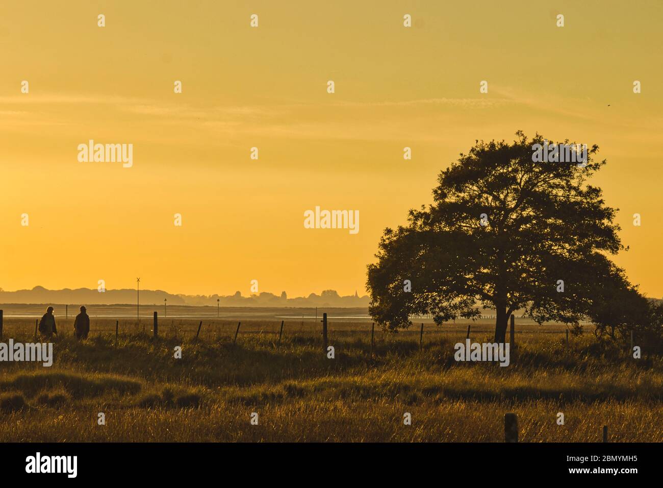 Chichester area hi-res stock photography and images - Alamy