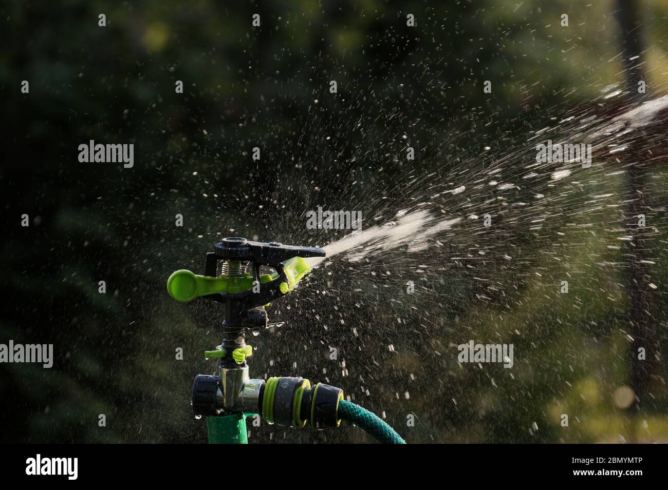 Widely splashed water from the device. Sprinkler in action Stock Photo ...