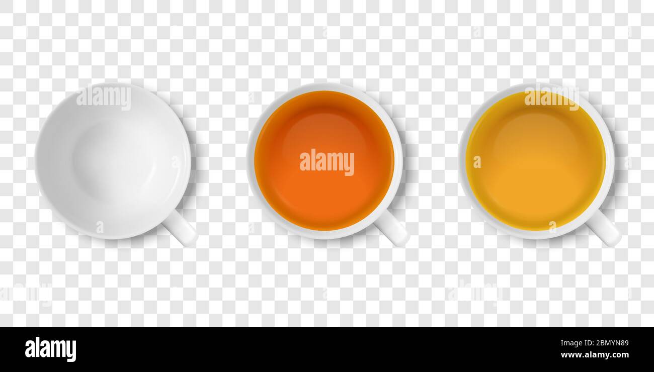 Vector 3d Realistic White Porclean, Ceramic Empty Tea Cup, Mug and with ...