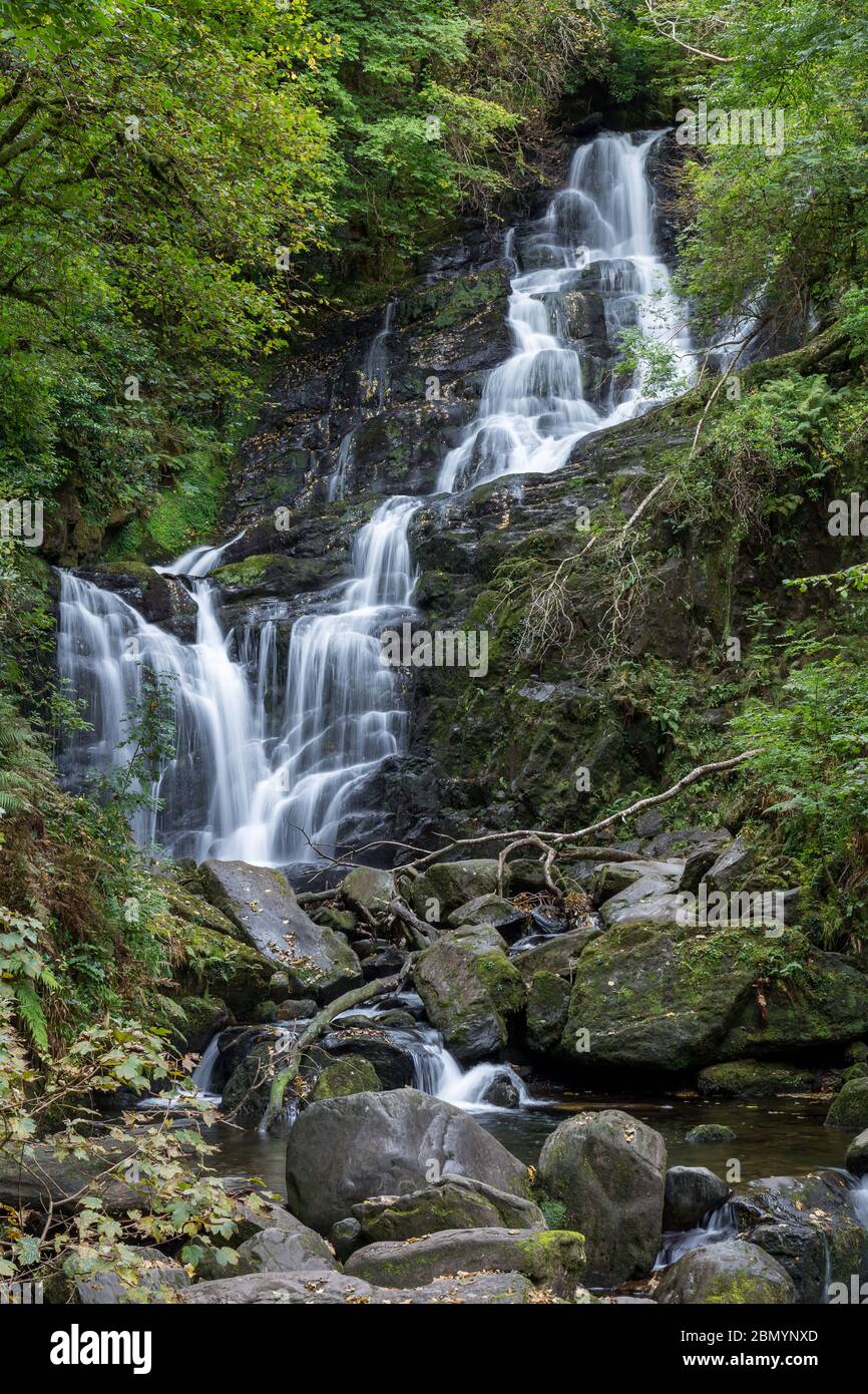A waterfall in the trees Stock Photo - Alamy