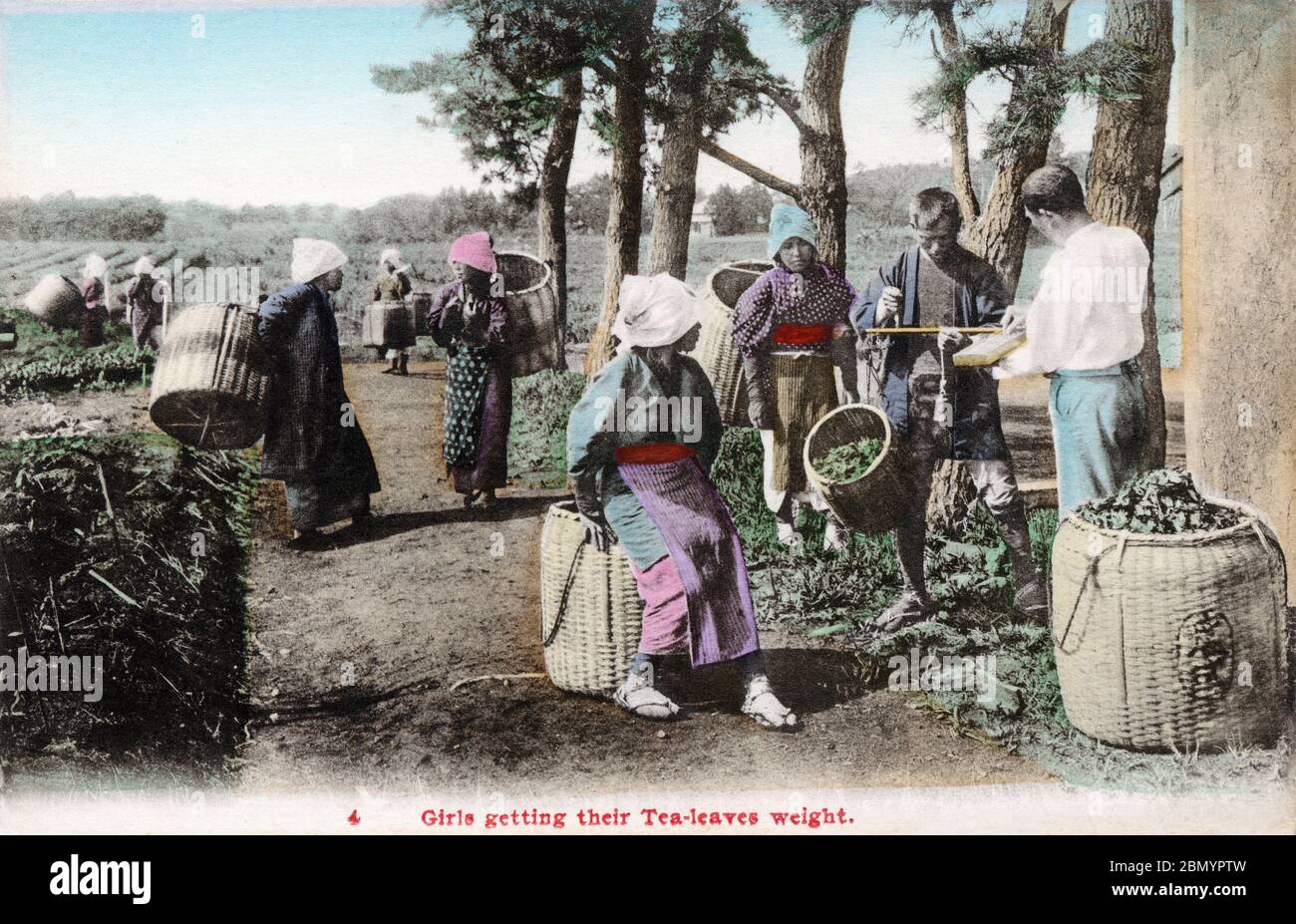 [ 1920s Japan - Japanese Tea Pickers Weighing Tea ] — Two men are ...