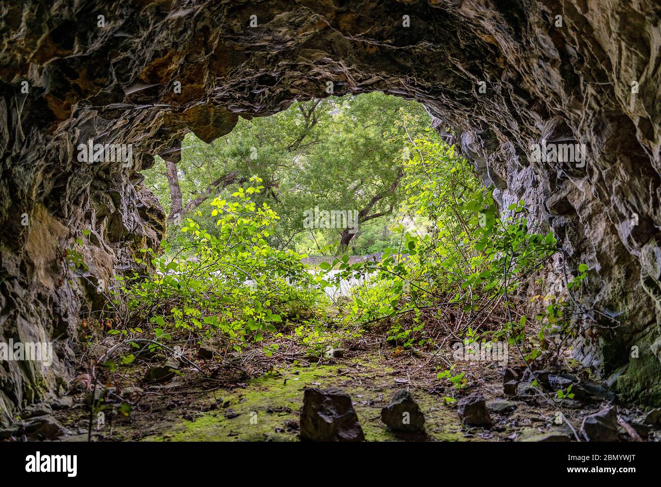 View from inside a dark cave. Green plants and light on the exit from ...