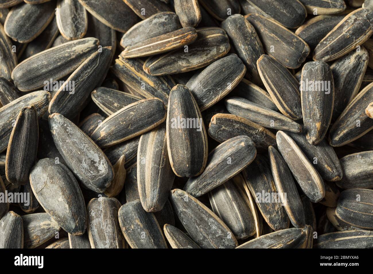 Raw sunflower seed hi-res stock photography and images - Alamy
