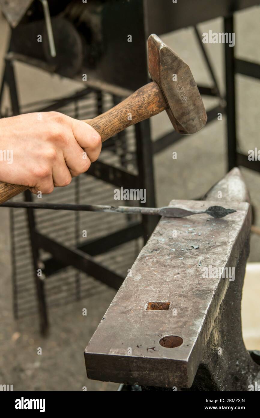 Puyallup, Washington, USA. Female blacksmith working a leaf pattern on ...