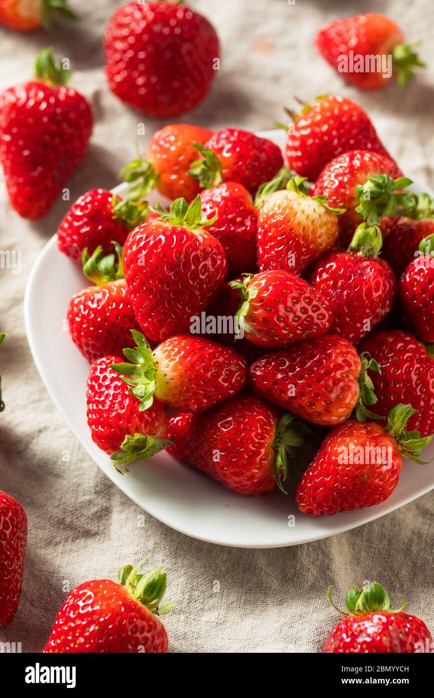 Raw Red Organic Strawberries in a Bunch Stock Photo - Alamy
