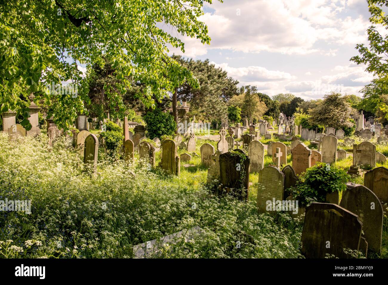 Gravestones in Brompton Cemetery, Kensington, London; one of the ...