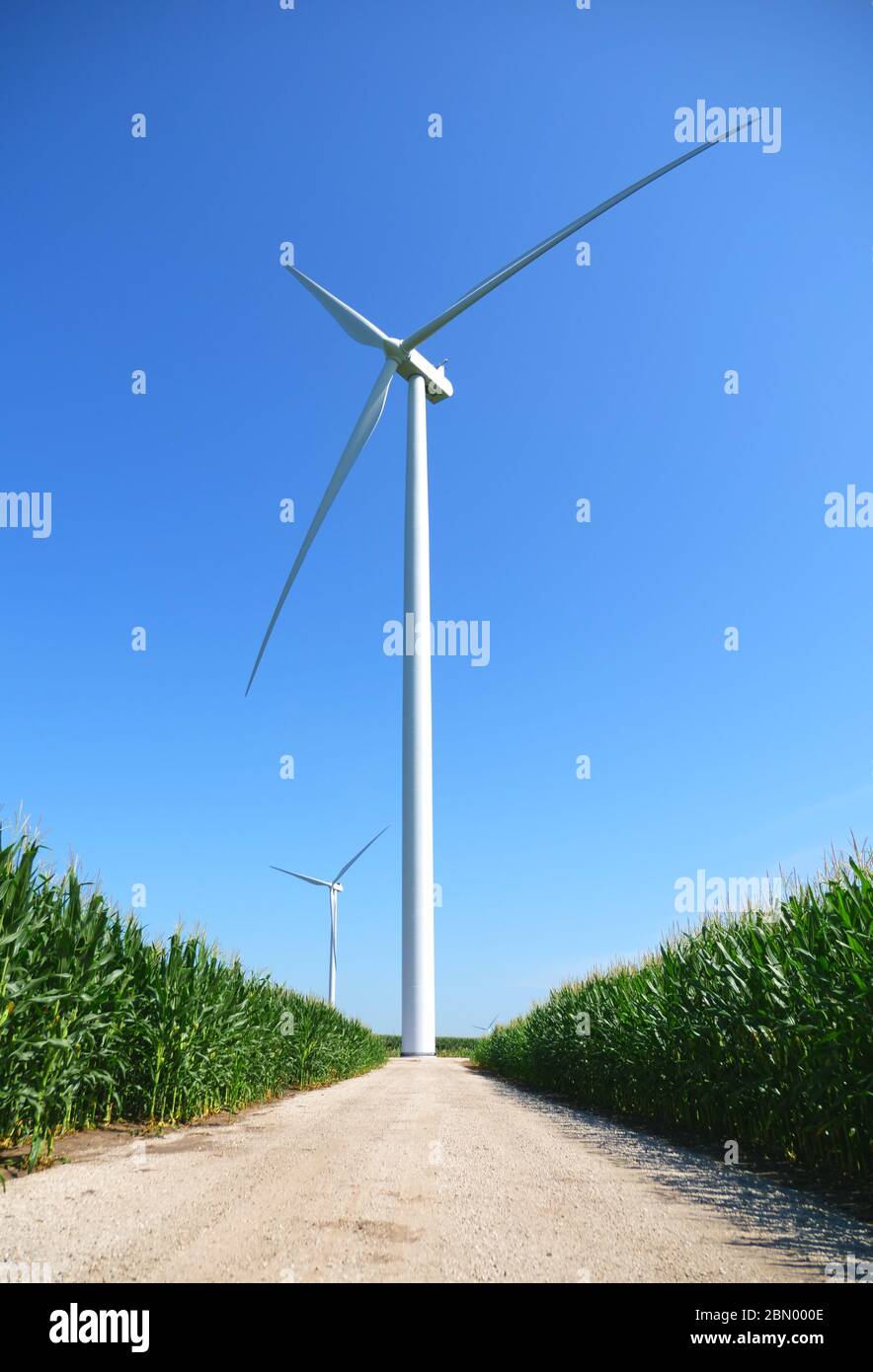 Wind Turbine in a Corn Field 2 Stock Photo - Alamy