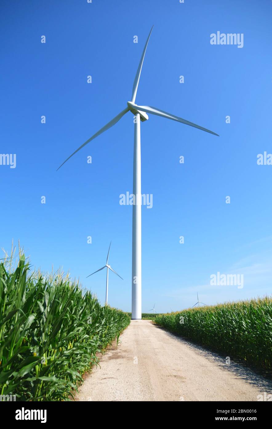 Wind Turbine in a Corn Field 3 Stock Photo - Alamy