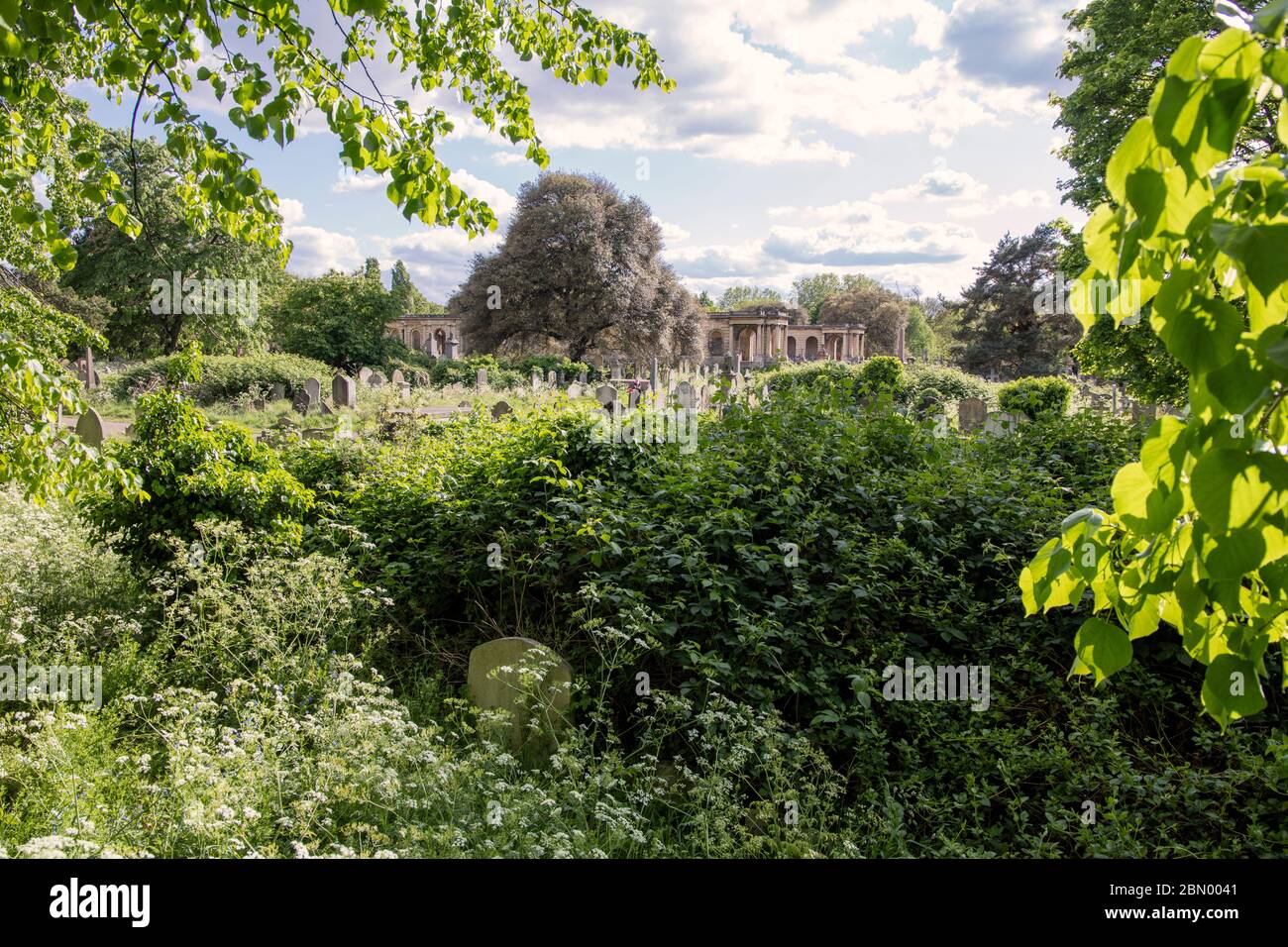 Gravestones in Brompton Cemetery, Kensington, London; one of the ...