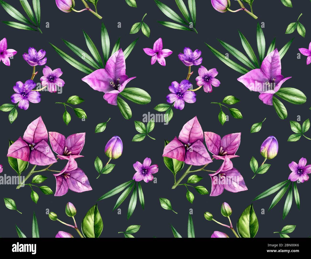 Watercolor tropical seamless pattern. Bougainvillea flowers, orchids ...