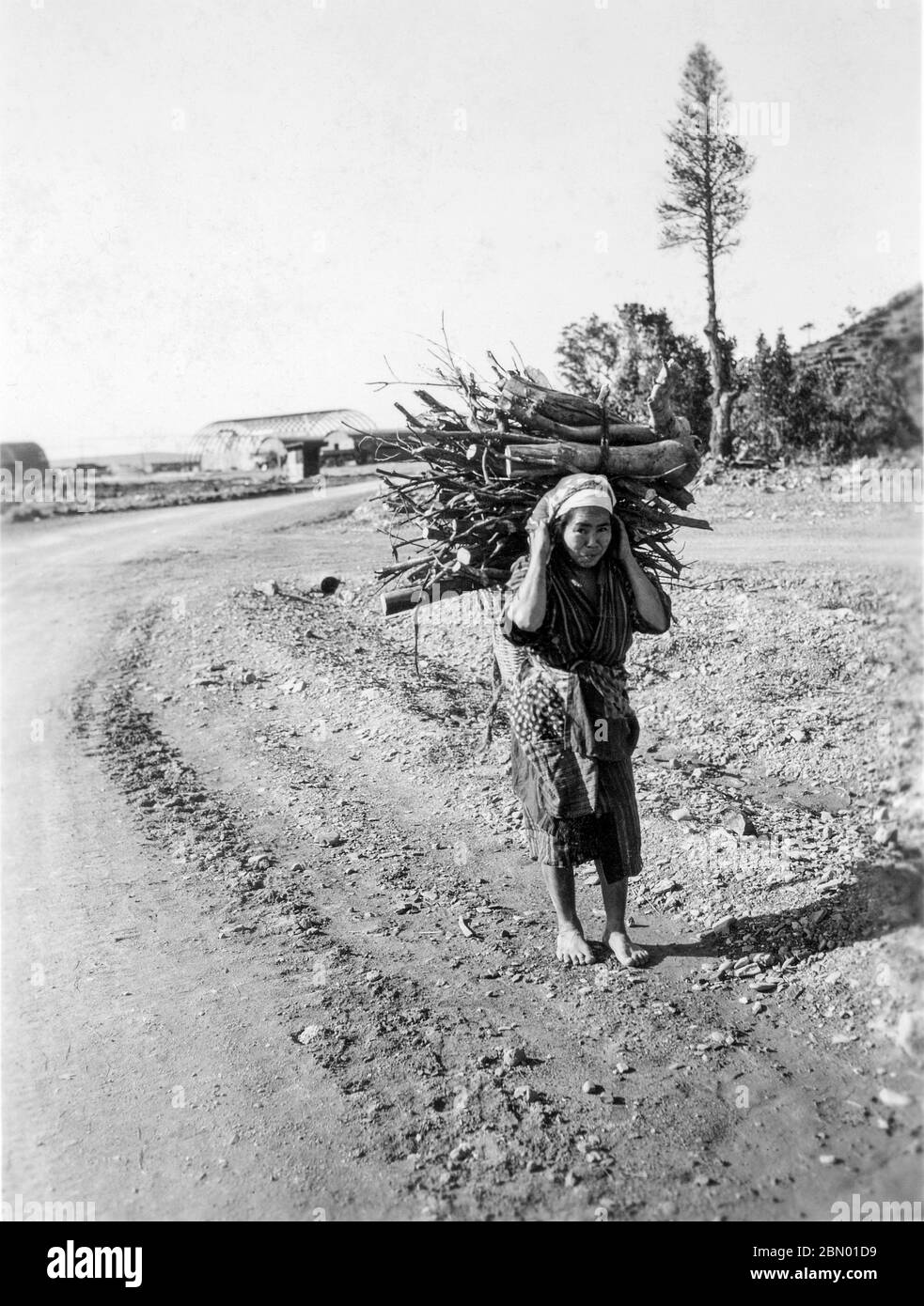 [ 1946 Japan - Okinawan Woman Carrying Fire Wood ] — Okinawan woman ...