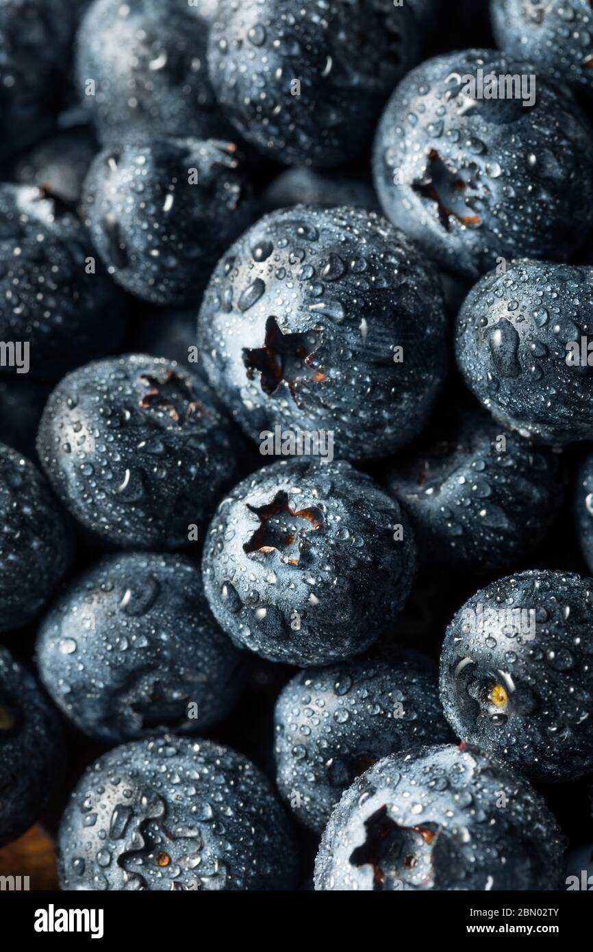 Raw Blue Organic Blueberries in a Bunch Stock Photo - Alamy