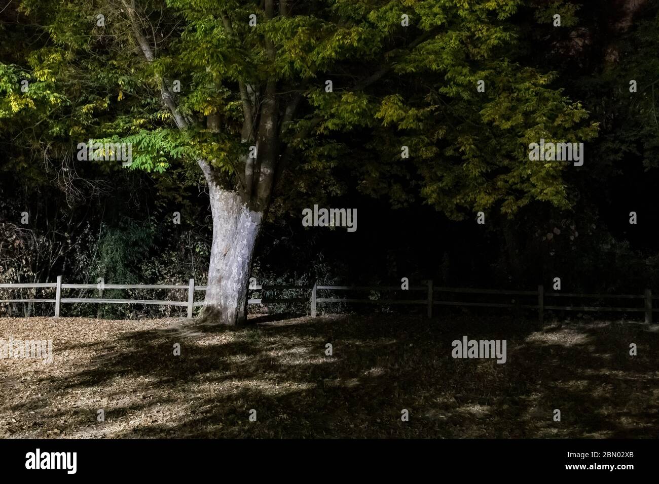 Lonely place hi-res stock photography and images - Alamy