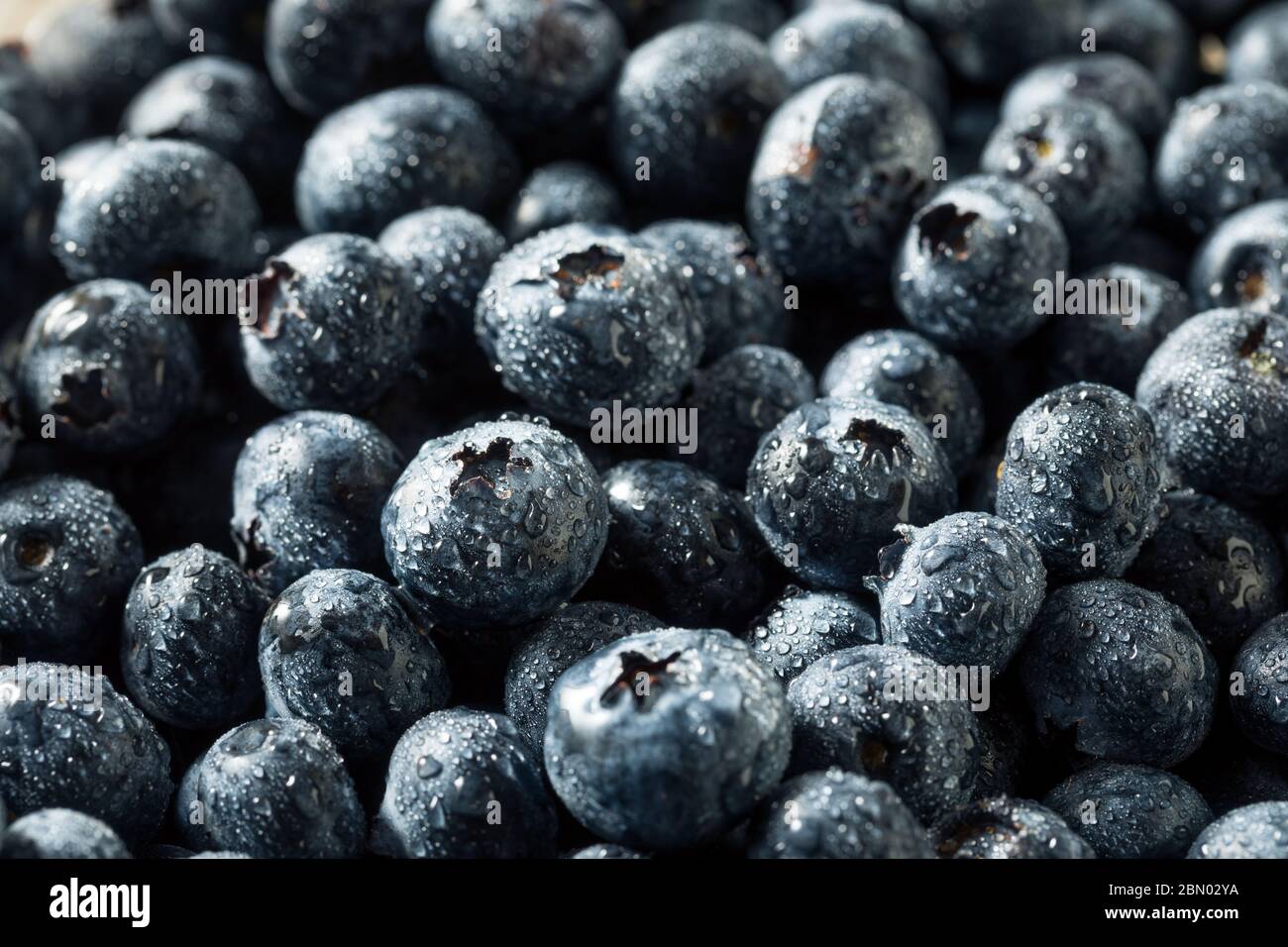 Raw Blue Organic Blueberries in a Bunch Stock Photo - Alamy