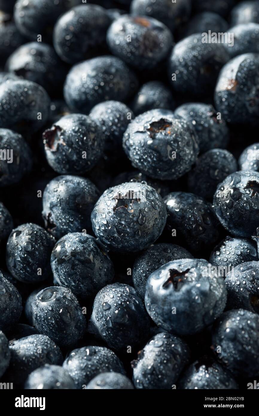 Raw Blue Organic Blueberries in a Bunch Stock Photo - Alamy