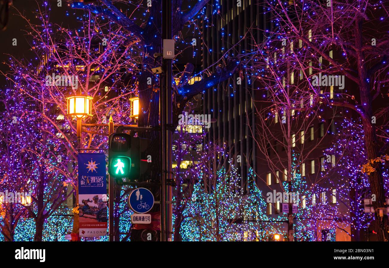 Festival of the Lights in Osaka. The winter illumination events ...