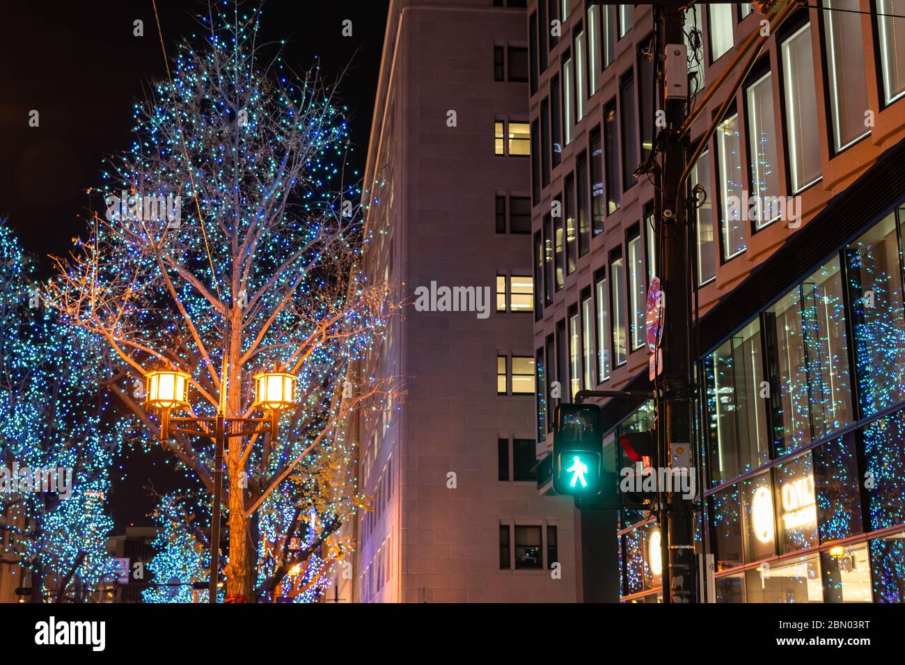 Festival of the Lights in Osaka. The winter illumination events ...