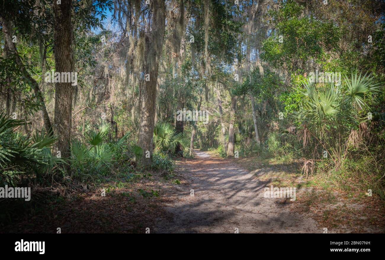 Winter Floridian Landscape Stock Photo - Alamy