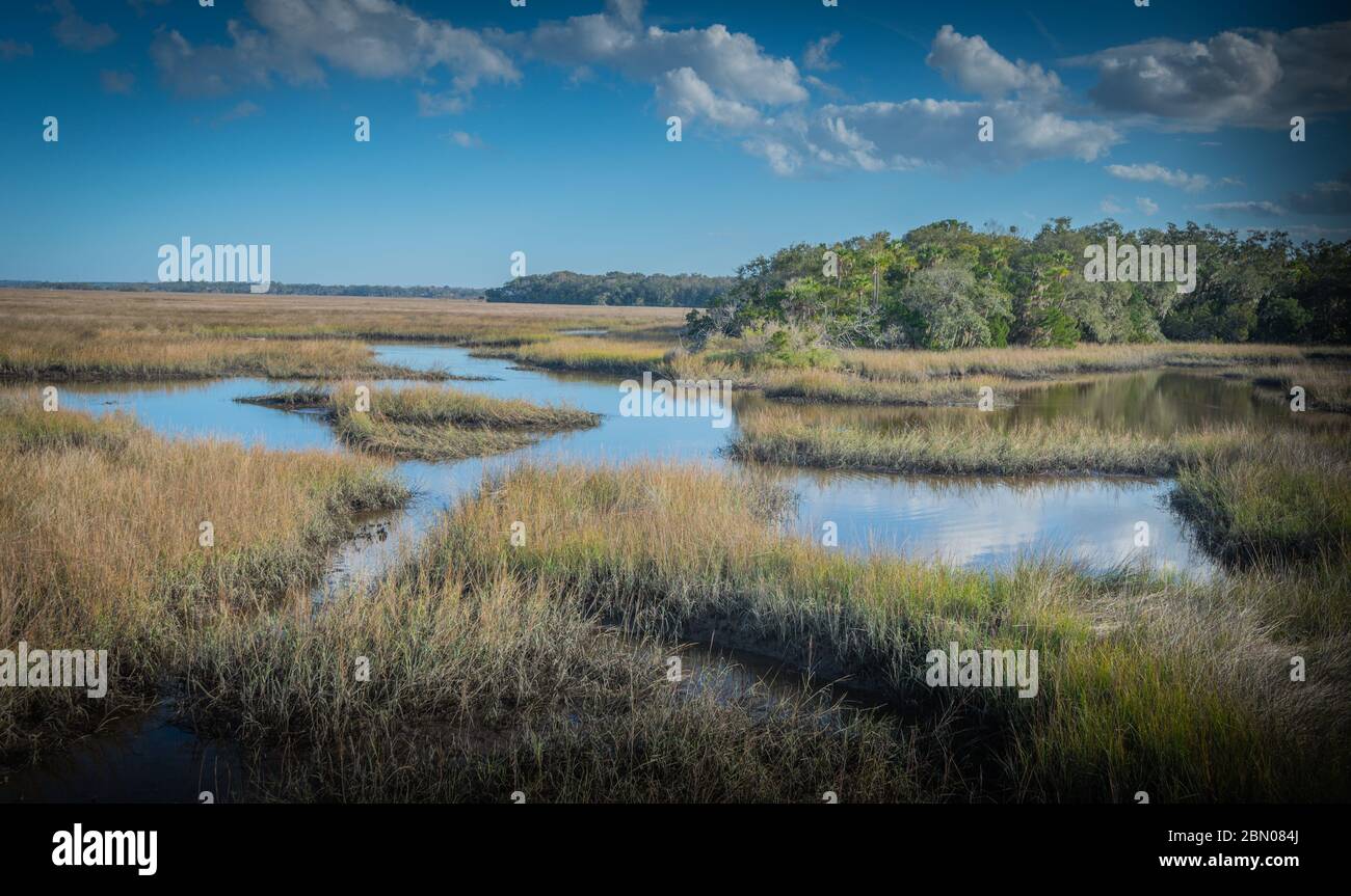 Winter Floridian Landscape Stock Photo - Alamy