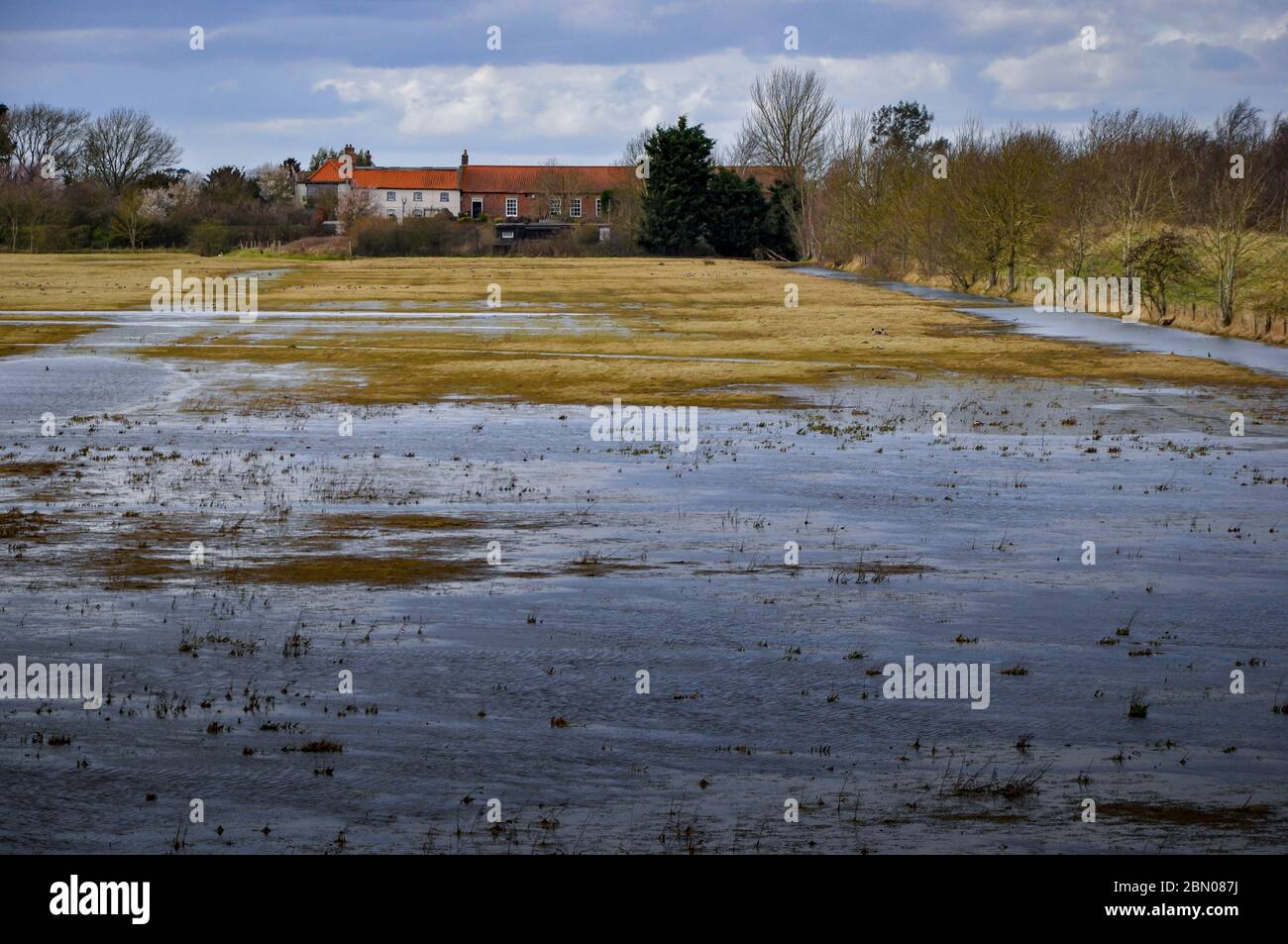 Freiston shore hi-res stock photography and images - Alamy