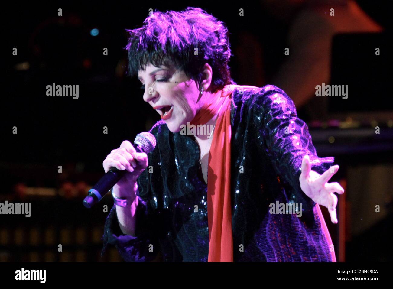 Liza minelli singer hi-res stock photography and images - Alamy