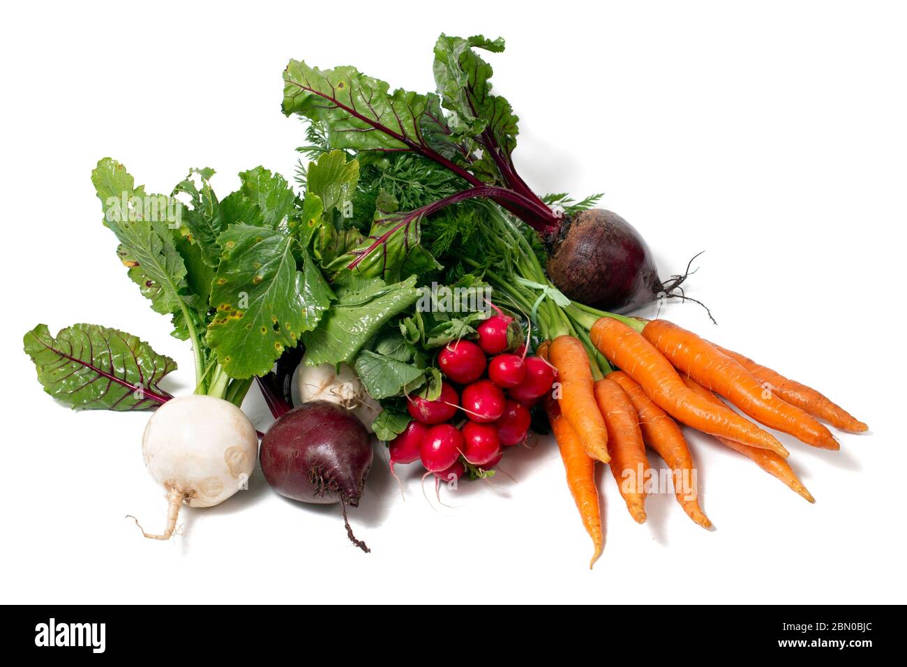fresh organic vegetable roots from the grocery market isolated on a ...