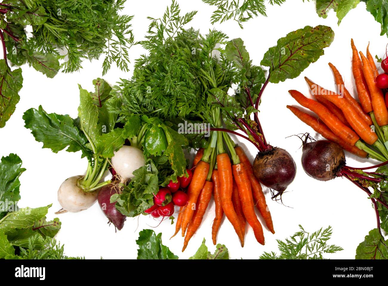 fresh organic vegetable roots from the grocery market isolated on a ...