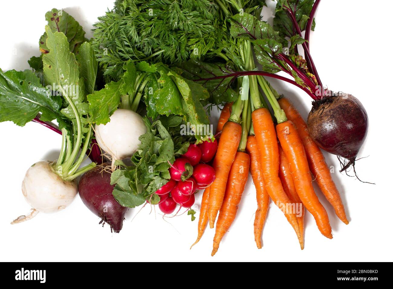 fresh organic vegetable roots from the grocery market isolated on a ...