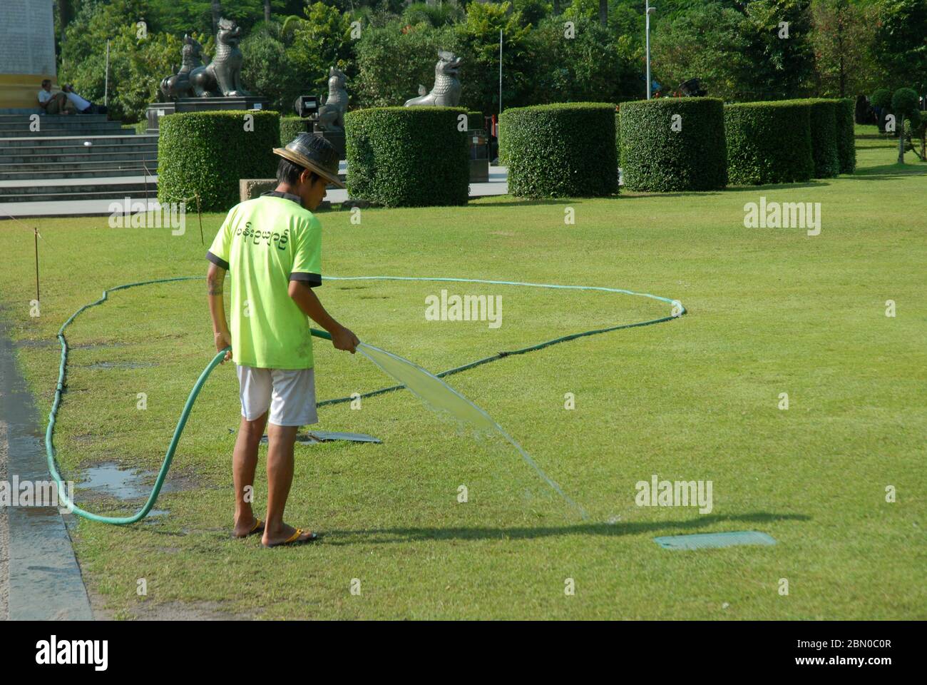 Man watering grass, Maha bandoola garden, Yangon, Myanmar, Asia Stock ...