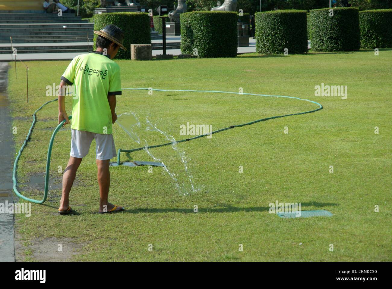 Man watering grass, Maha bandoola garden, Yangon, Myanmar, Asia Stock ...