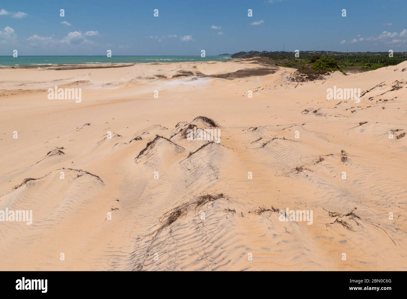 Malemba Dunes, Pipa beach, Brazil Stock Photo - Alamy