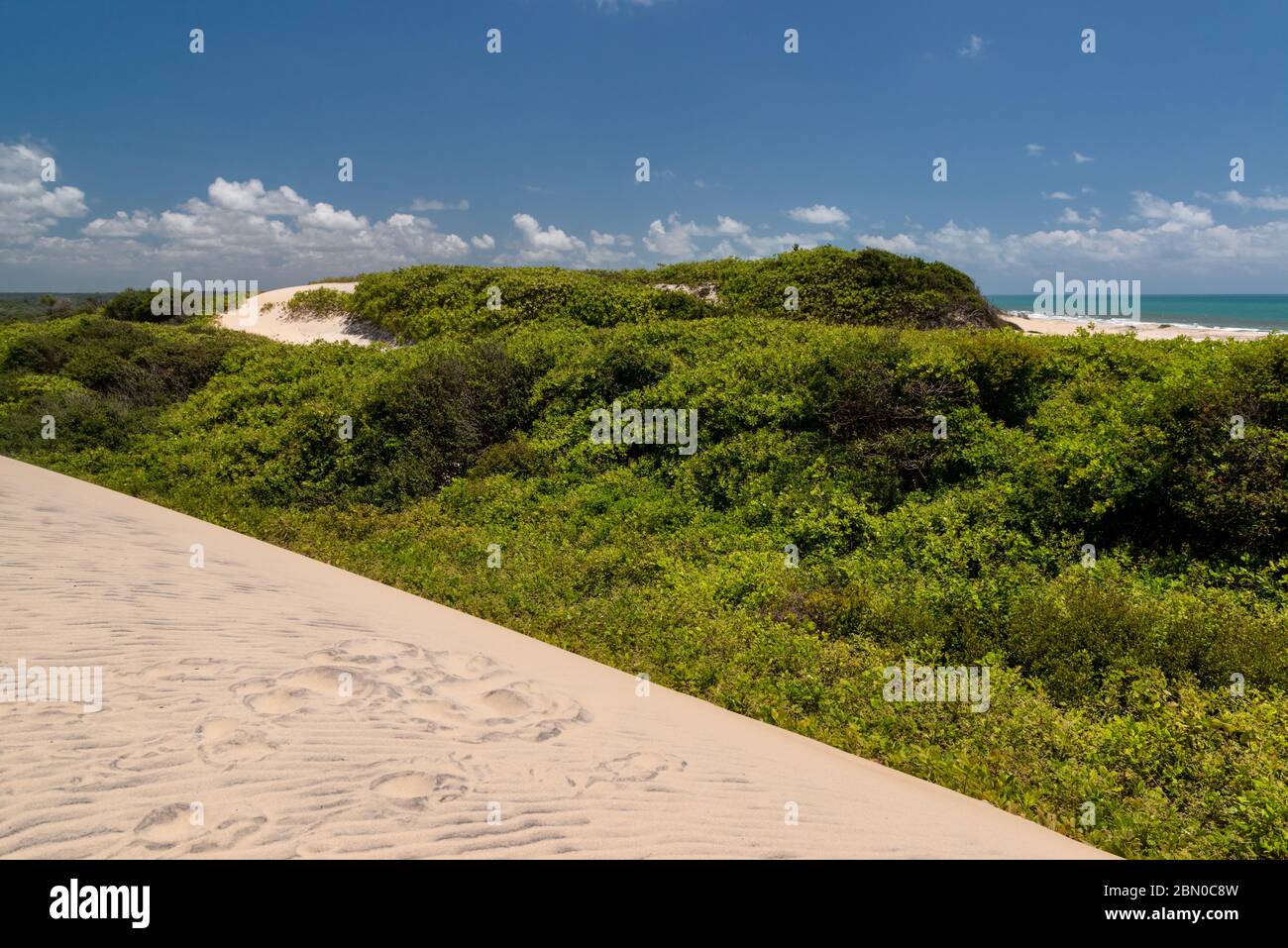 Malemba Dunes, Pipa beach, Brazil Stock Photo - Alamy