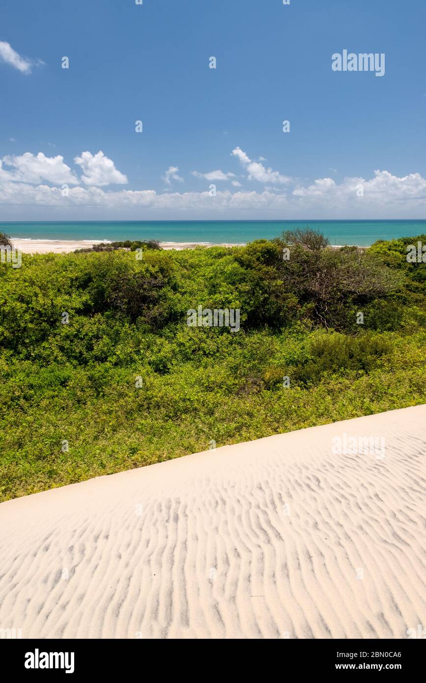 Malemba Dunes, Pipa beach, Brazil Stock Photo - Alamy