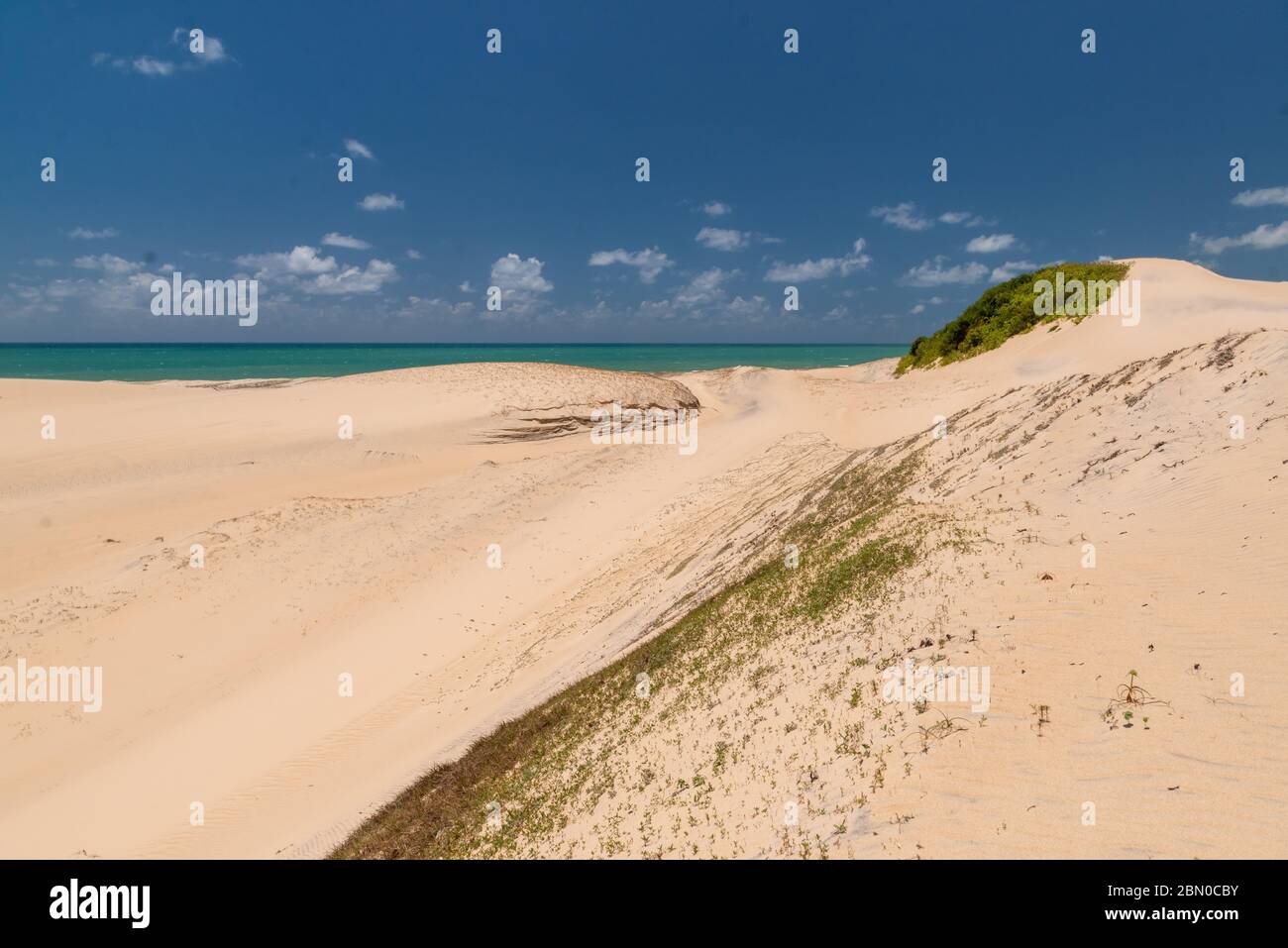 Malemba Dunes, Pipa beach, Brazil Stock Photo - Alamy