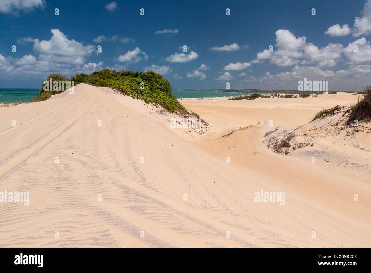 Malemba Dunes, Pipa beach, Brazil Stock Photo - Alamy