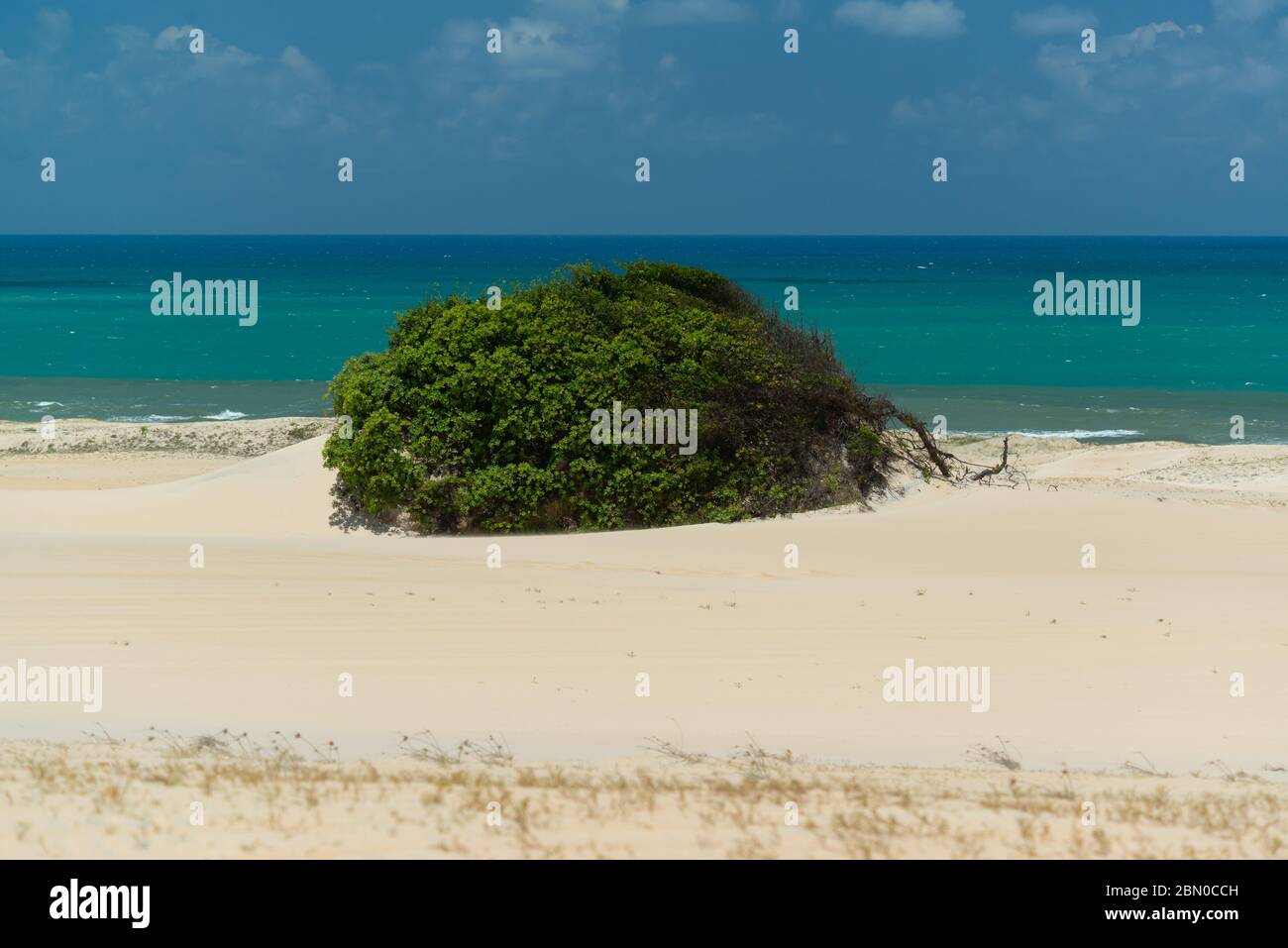 Malemba Dunes, Pipa beach, Brazil Stock Photo - Alamy