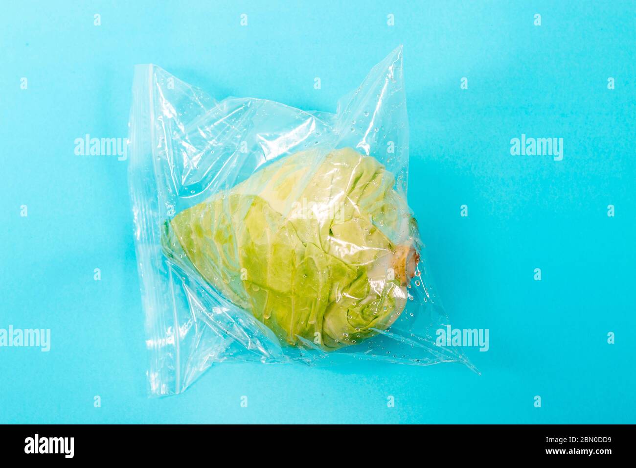 fresh organic vegetable cabbage from the grocery market on a plastic ...