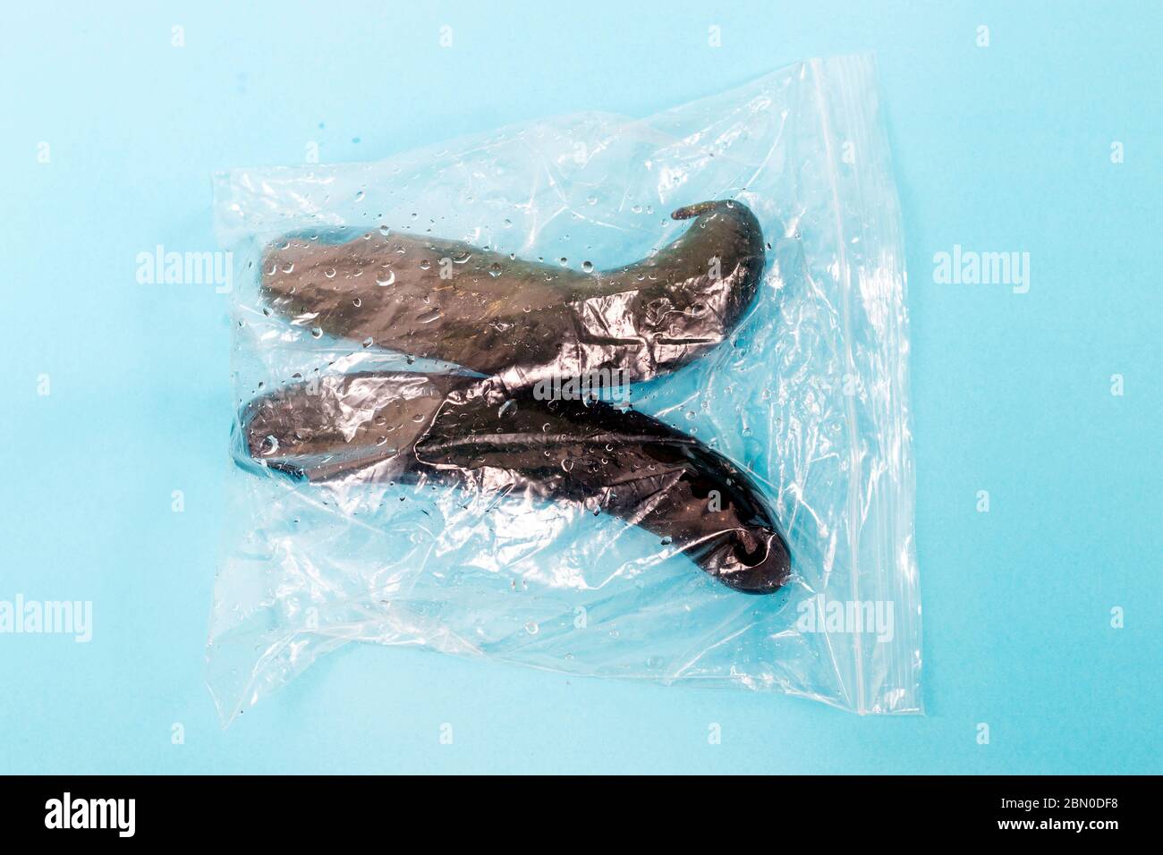 fresh organic vegetable cucumber from the grocery market on a plastic ...