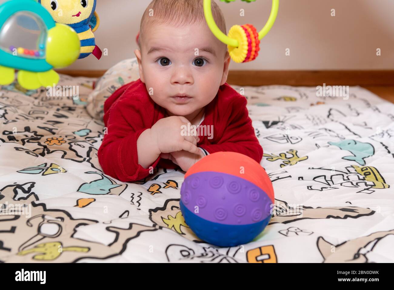Cute little baby boy during tummy time looking at camera. 6 months old ...