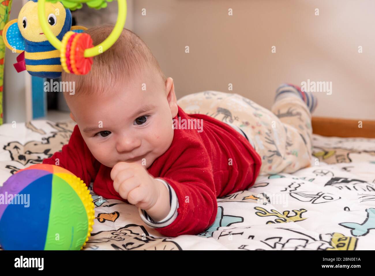 Cute little baby boy during tummy time looking at camera. 6 months old ...