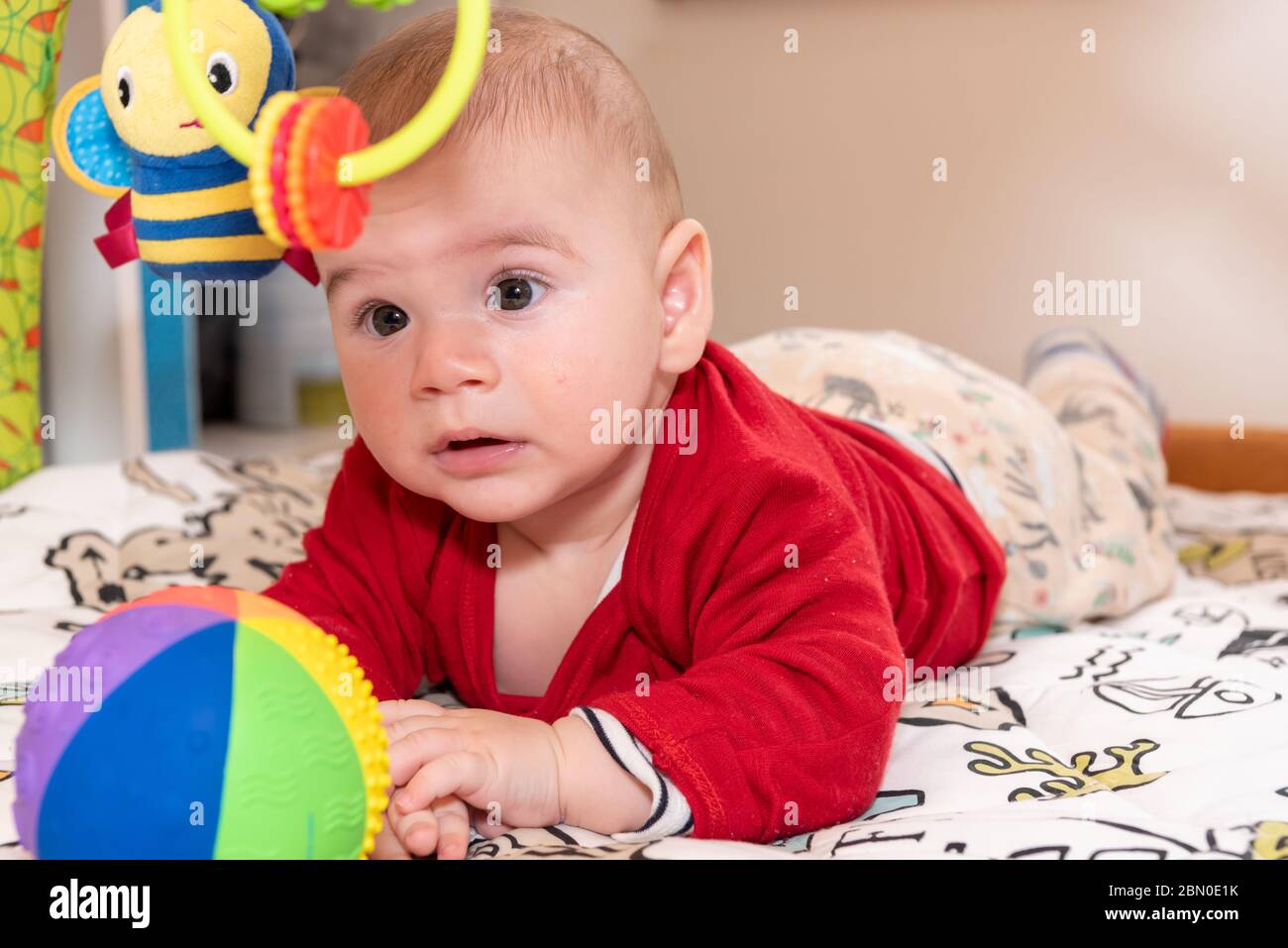 Cute little baby boy during tummy time looking at camera. 6 months old ...