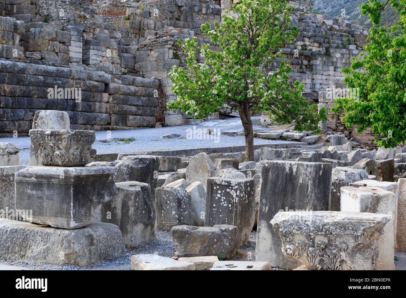 Ephesus, Selcuk City, Izmir Province, Turkey Stock Photo - Alamy