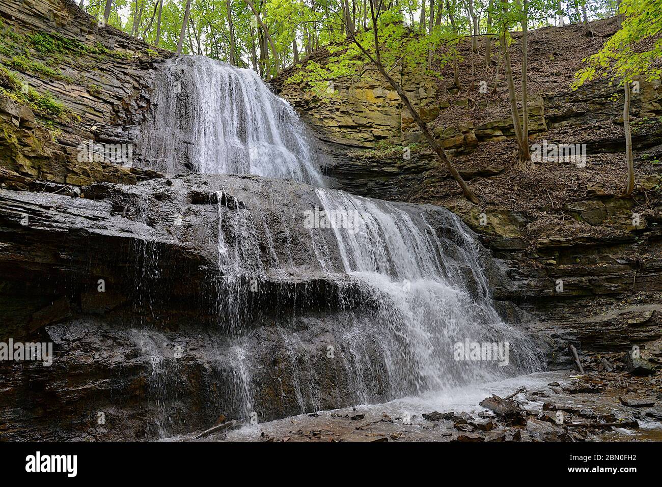 Sunlight and tree in Sherman Falls, Hamilton, Ontario Stock Photo - Alamy