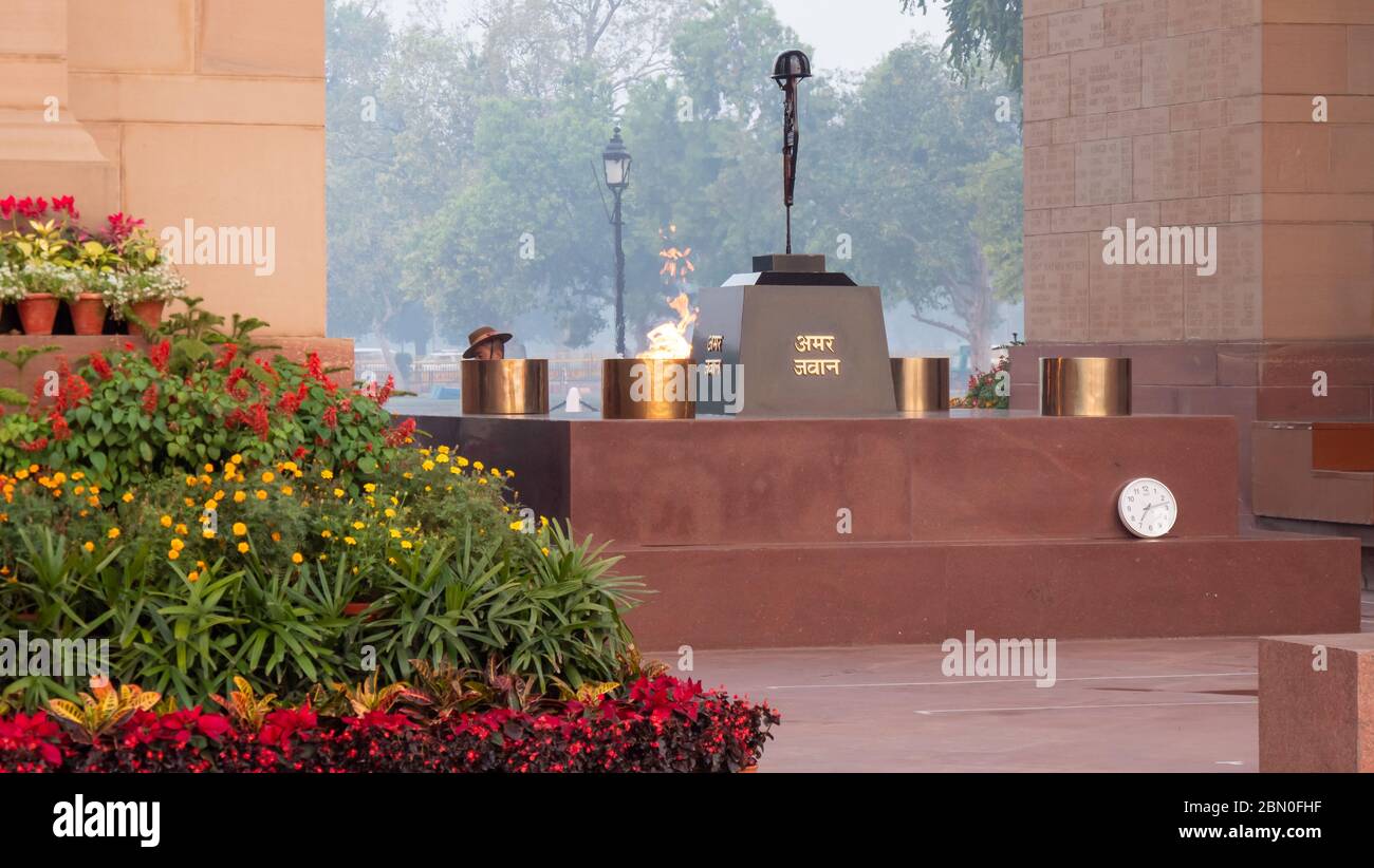 plants and the flame of the immortal warrior at india gate in new delhi ...