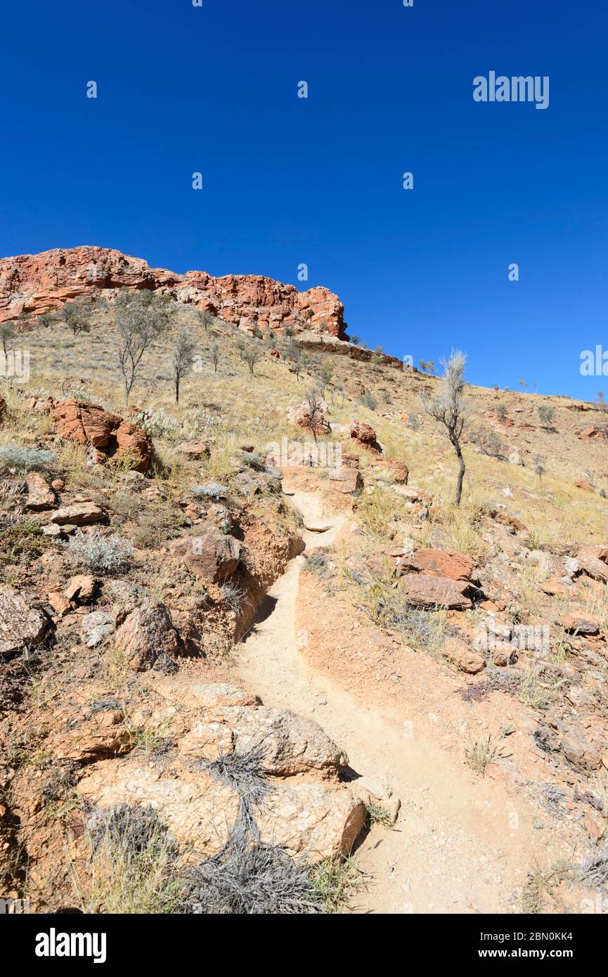 Steep walking trail climbing to Mt Gillen, Alice Springs, Northern ...