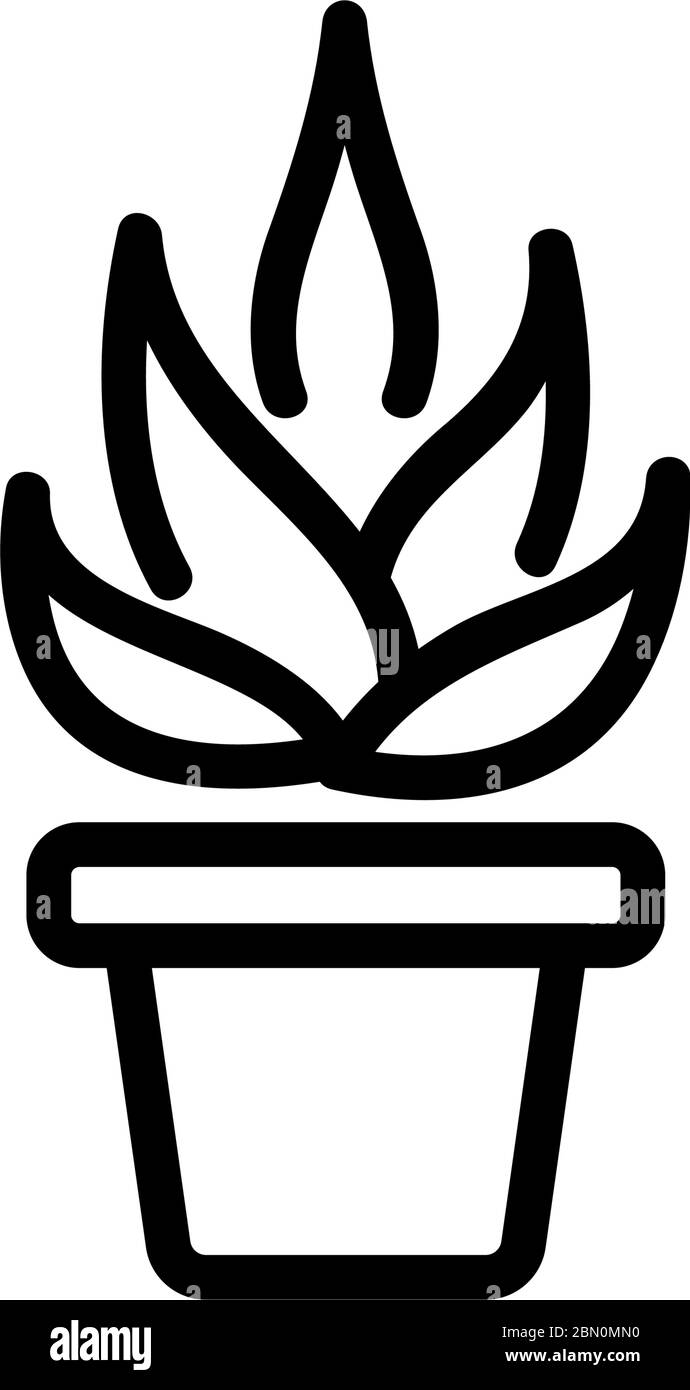 agave in home pot icon vector outline illustration Stock Vector Image ...