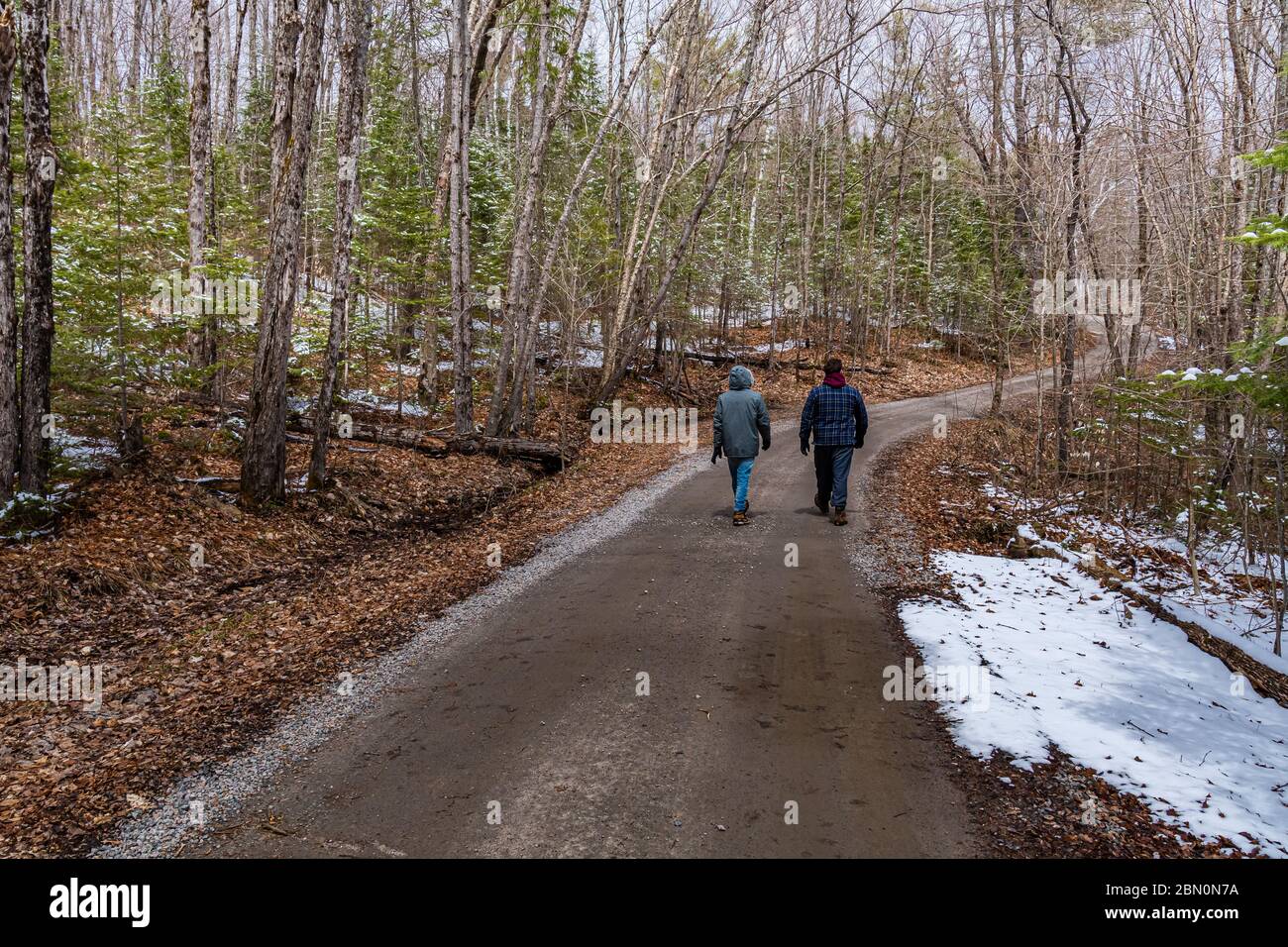 Snow covered forest path on hi-res stock photography and images - Alamy