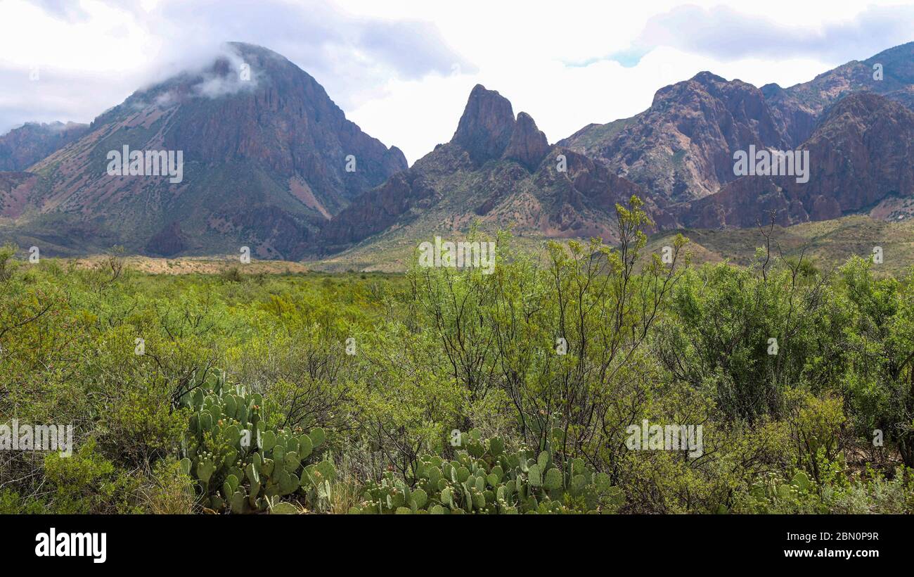 The Chisos Mountains of Big Bend National Park in Texas are of Volcanic ...