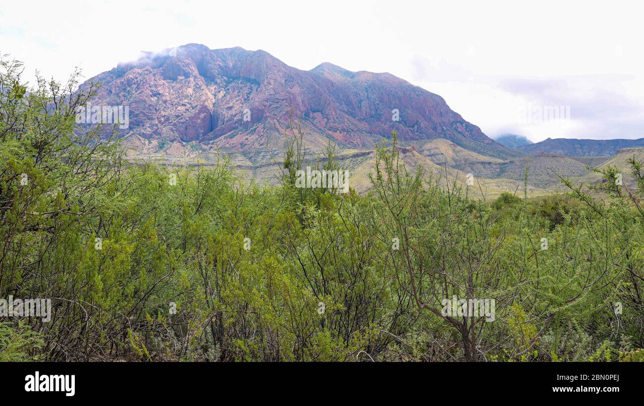 The Chisos Mountains of Big Bend National Park in Texas are of Volcanic ...