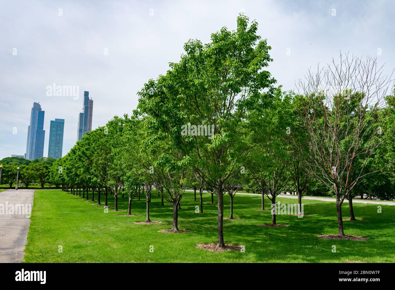 Beautiful buildings and trees hi-res stock photography and images - Alamy